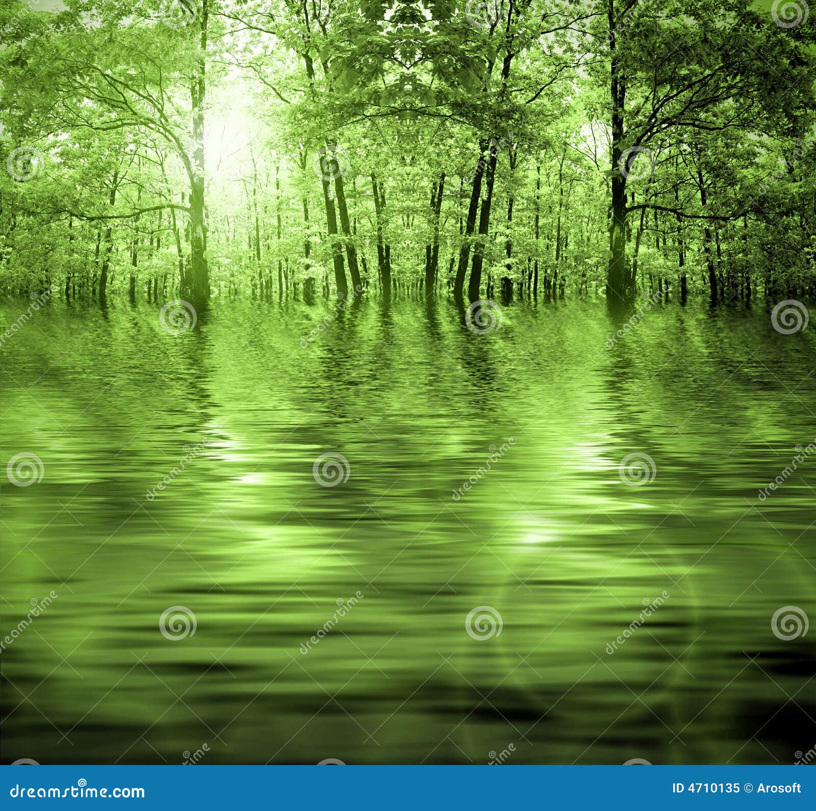 Green forest stock image. Image of scenery, fall, beautiful - 4710135