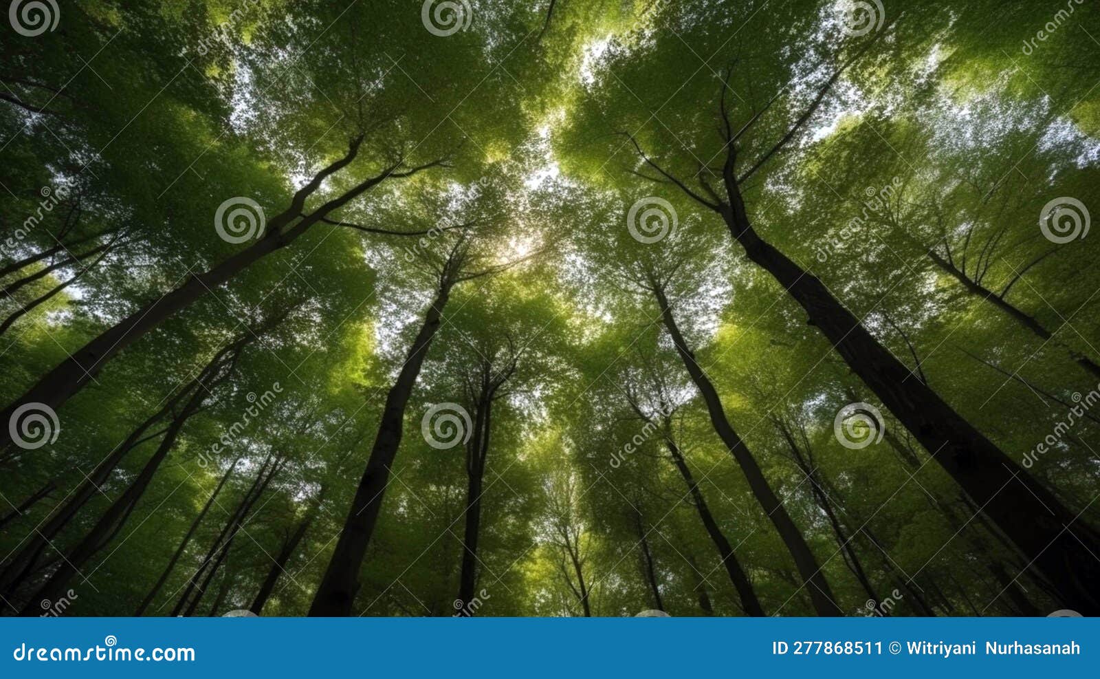 Green Forest of Beech Trees Looking Up Low Angle Shot. AI Generative ...