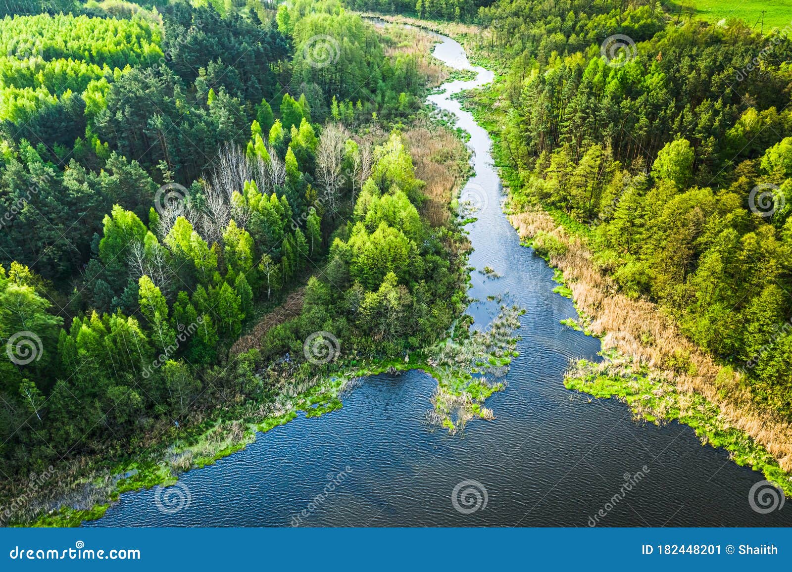 Green Forest and Blue Lake in Summer, Aerial View Stock Image - Image ...