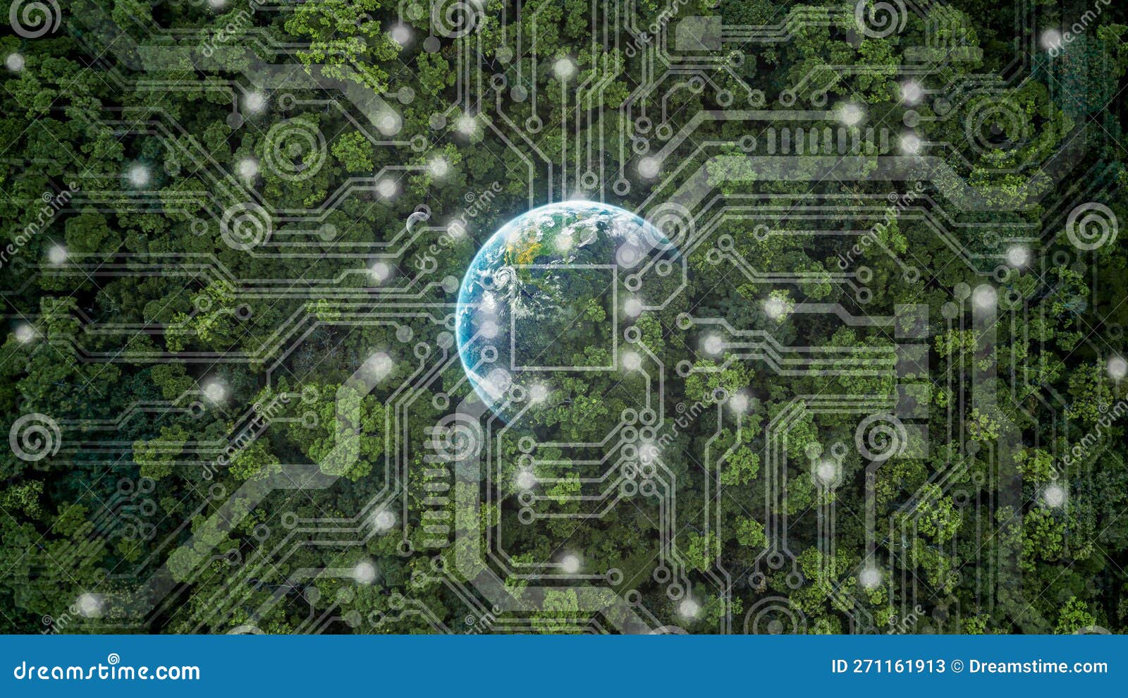 Forest with Keyboard Button, Search for Go Green Environment To Save ...