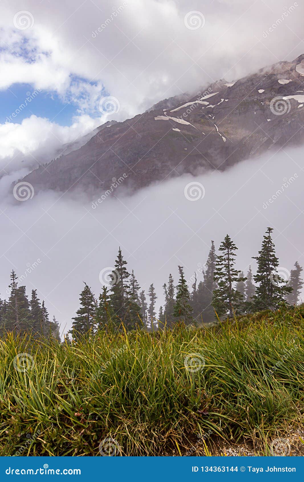 Green Forest in Front of Mountain and Clouds Stock Photo - Image of ...