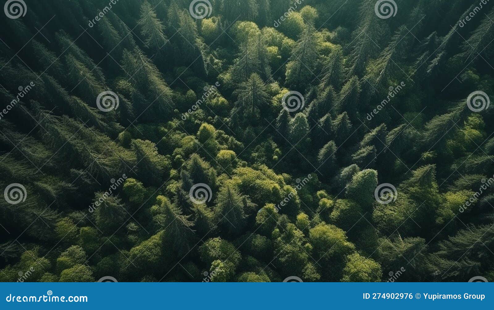 Green Forest Growth in Autumn, Tranquil Aerial View Generated by AI ...