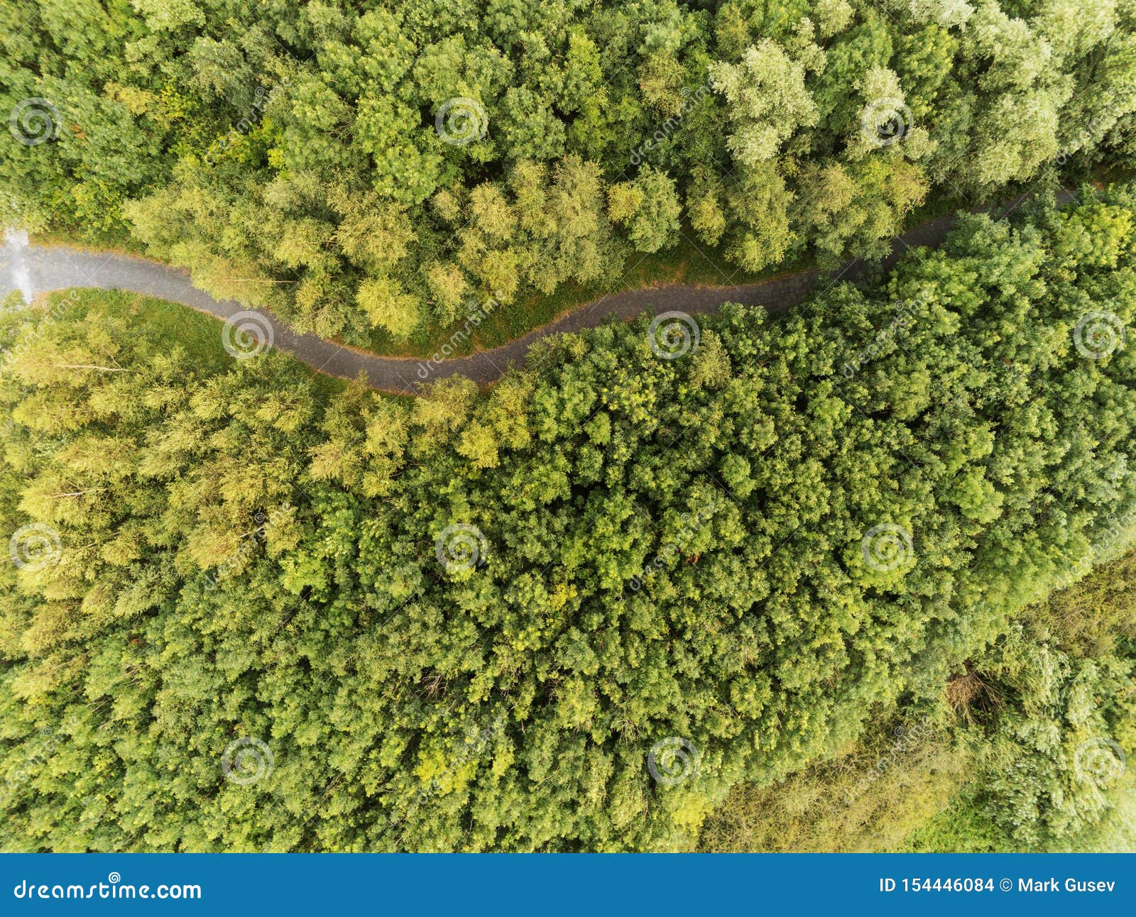 Green Forest Landscape, Aerial View. Path Way Going through Stock Photo ...