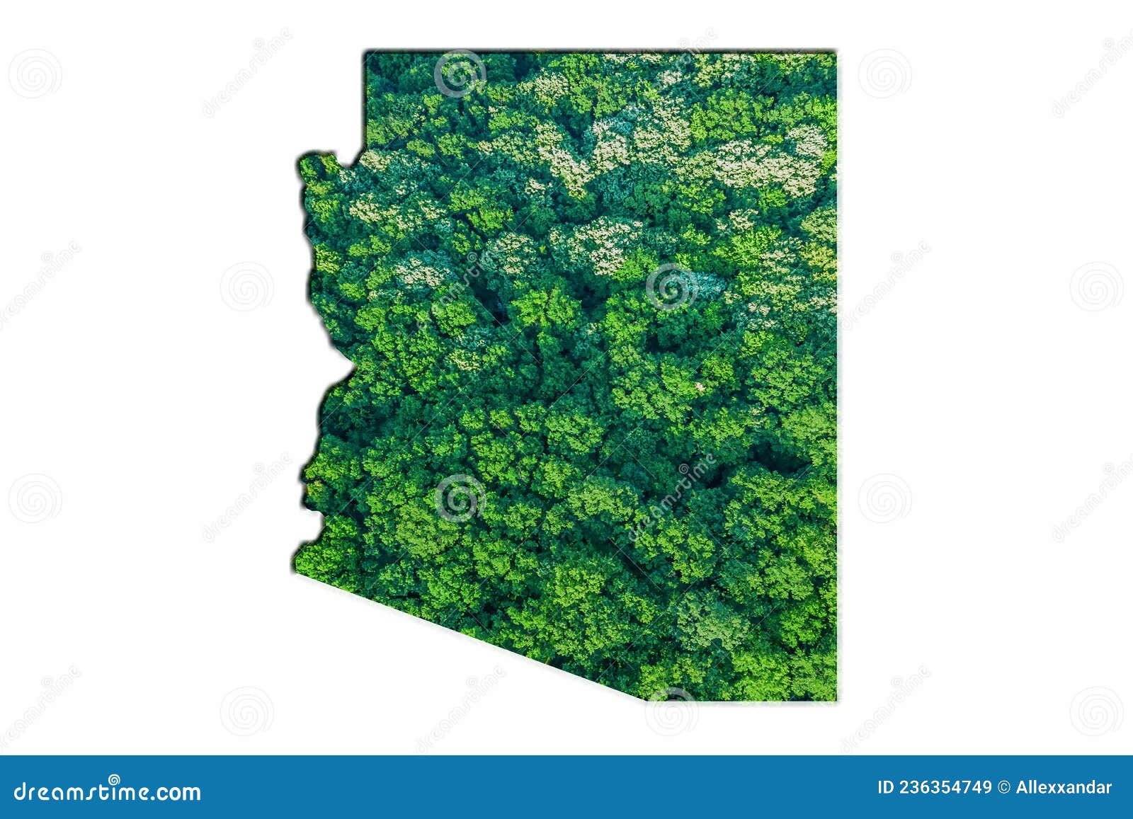 Green Forest Map of Arizona Stock Image - Image of concept, friendly ...