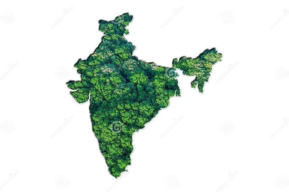 Green Forest Map of India stock image. Image of india - 236355449