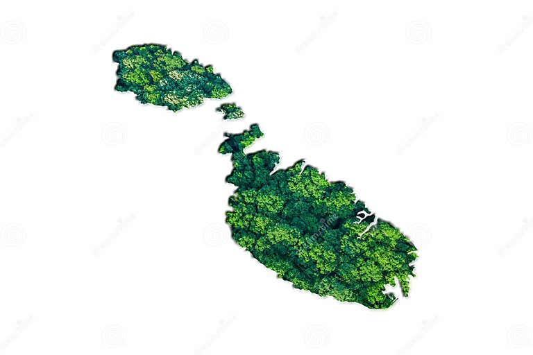 Green Forest Map of Malta stock photo. Image of protection - 236356306