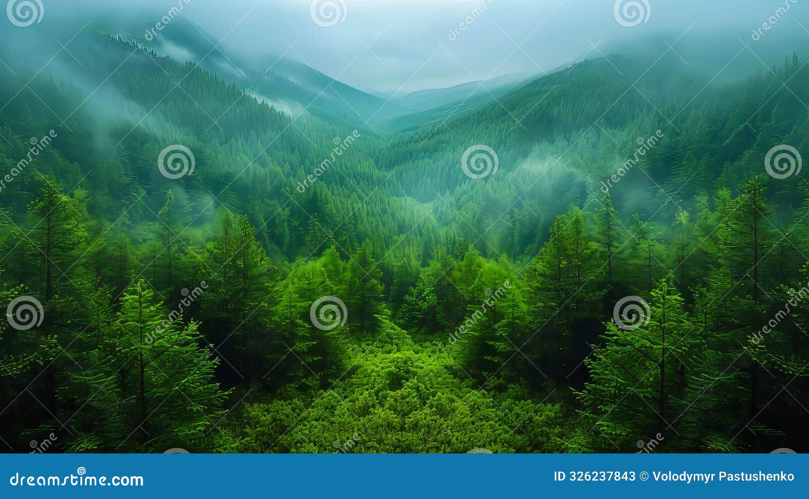 A Green Forest with Misty Mountains in the Background Stock Image ...