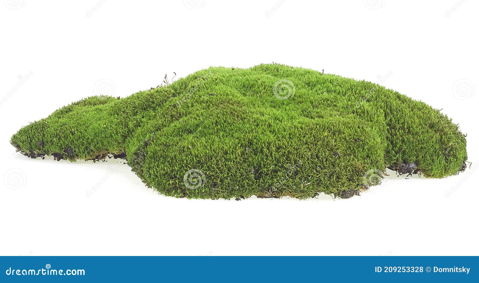 450 Mossy Mound Stock Photos - Free & Royalty-Free Stock Photos from ...
