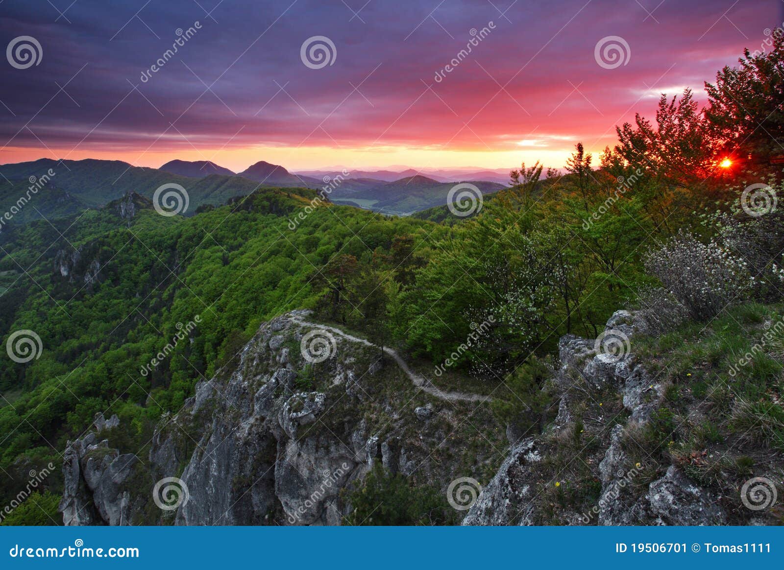 Green Forest Mountain at Sunset Stock Image - Image of pasture, field ...