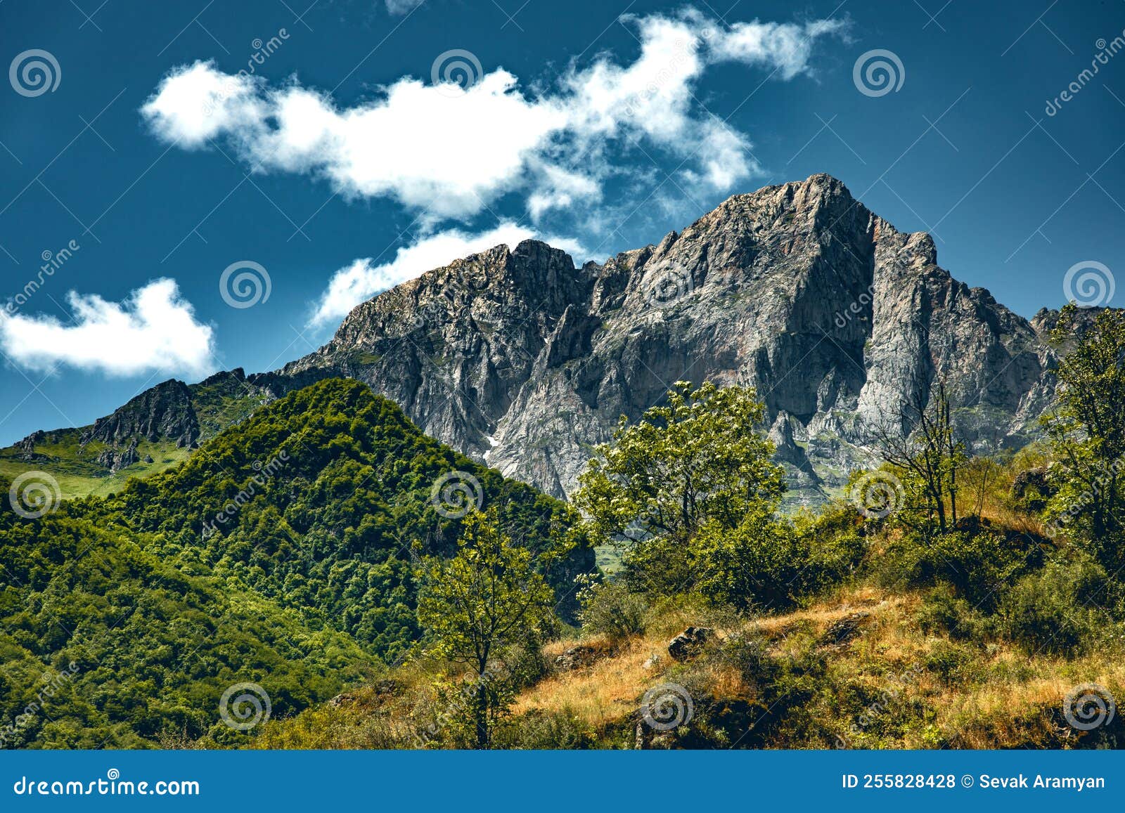 Green forest and mountain stock photo. Image of cloud - 255828428