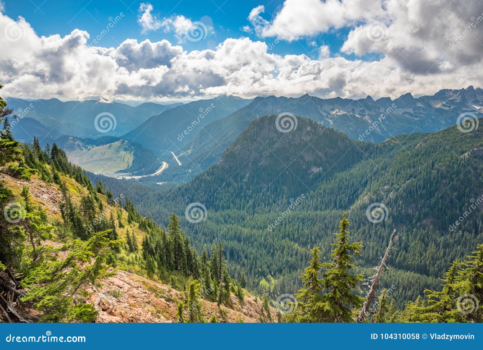 High View on the Forest on the Mountains Stock Photo - Image of forest ...