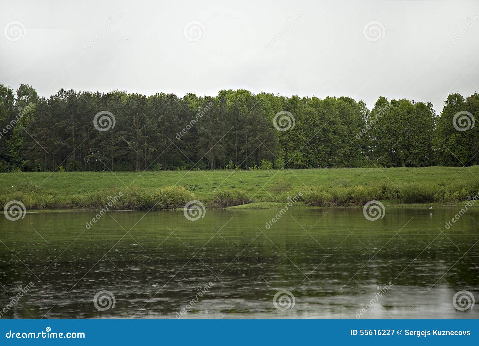 Green Forest Near Bank of River Stock Image - Image of grass, clouds ...