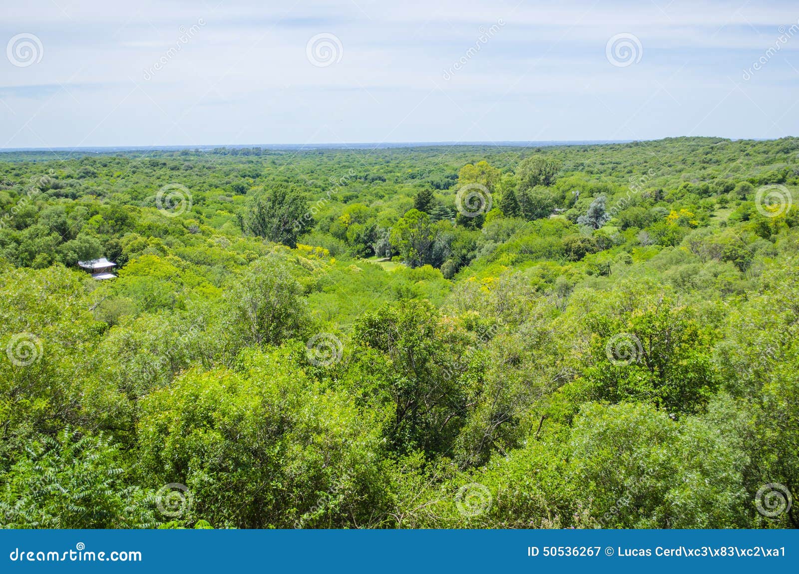 Green Forest Panoramic View Stock Image - Image of hiking, destination ...