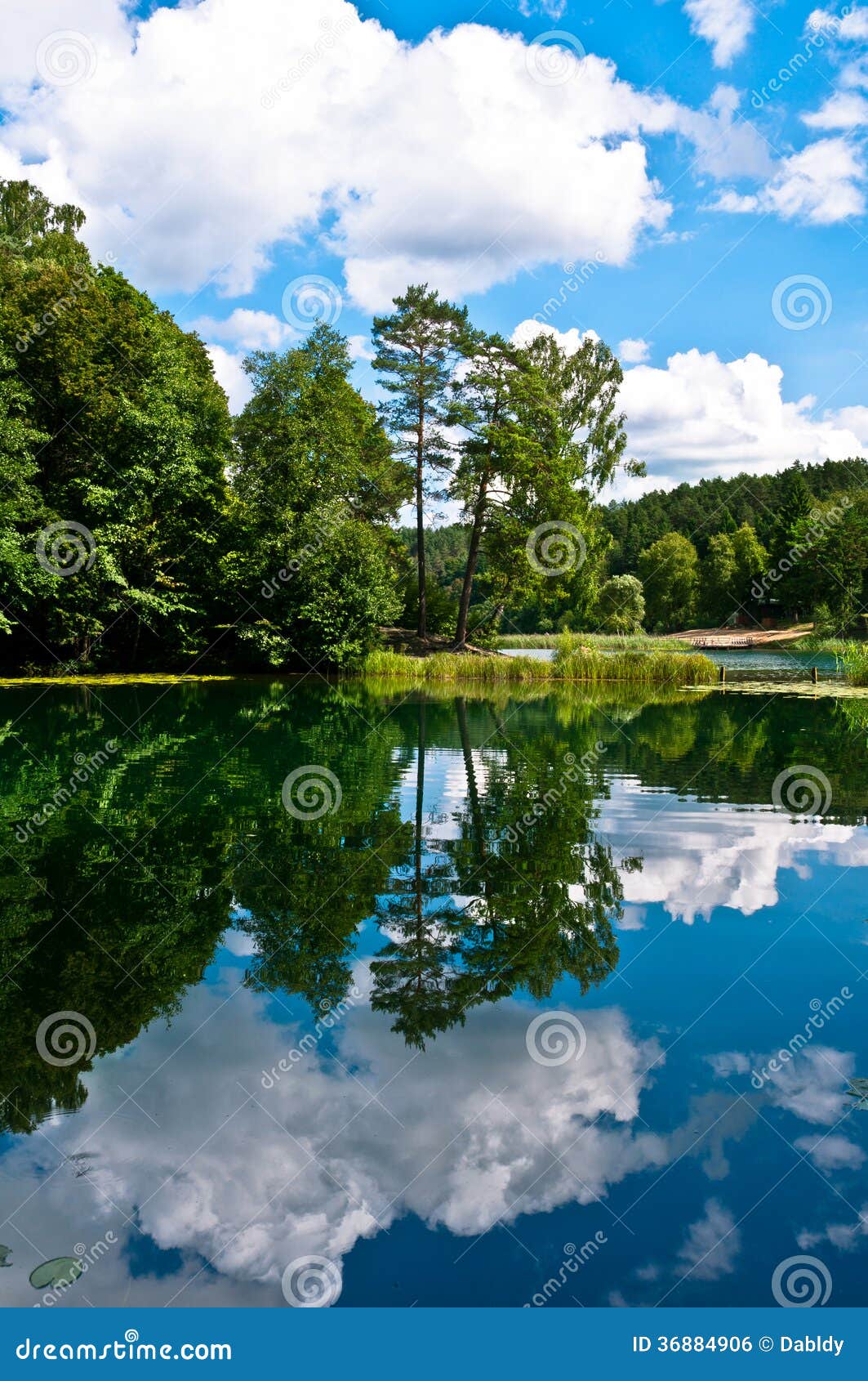Green Forest Reflection in the Lake Stock Photo - Image of relaxation ...