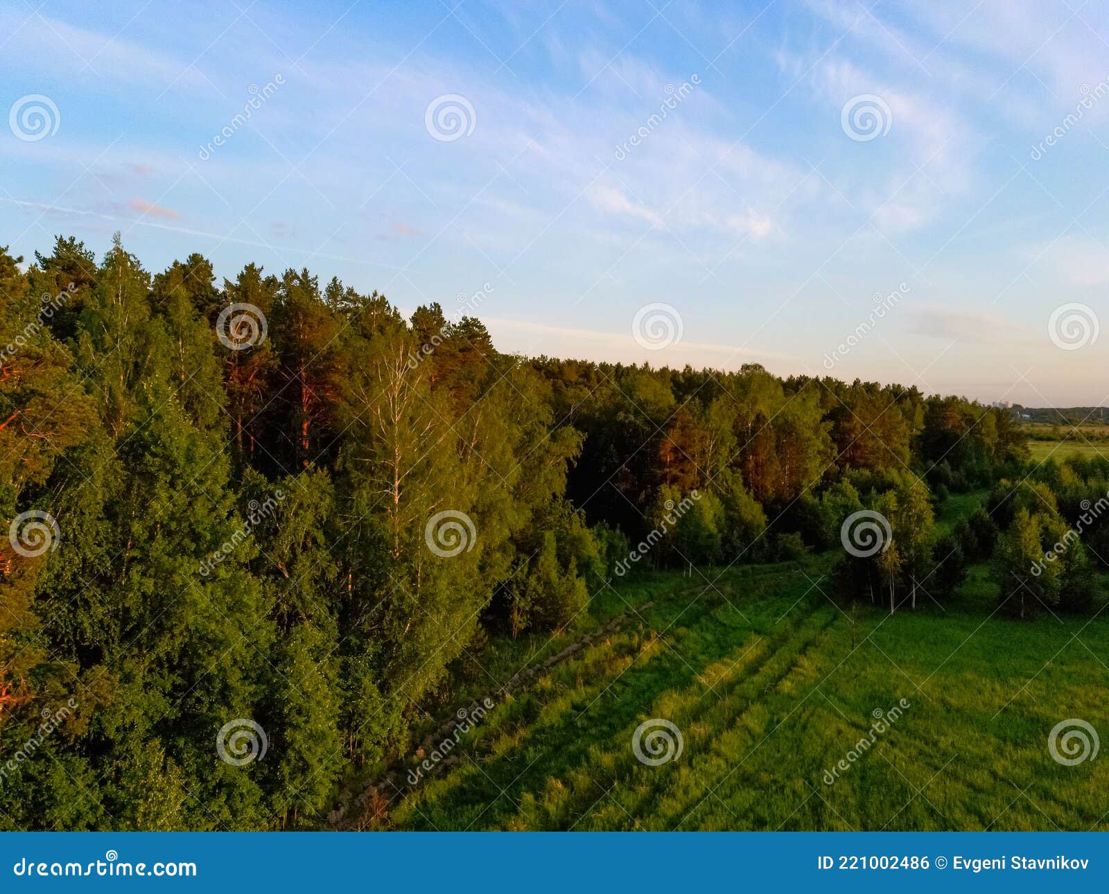 Green Forest and Road .view from the Drone. Stock Photo - Image of ...