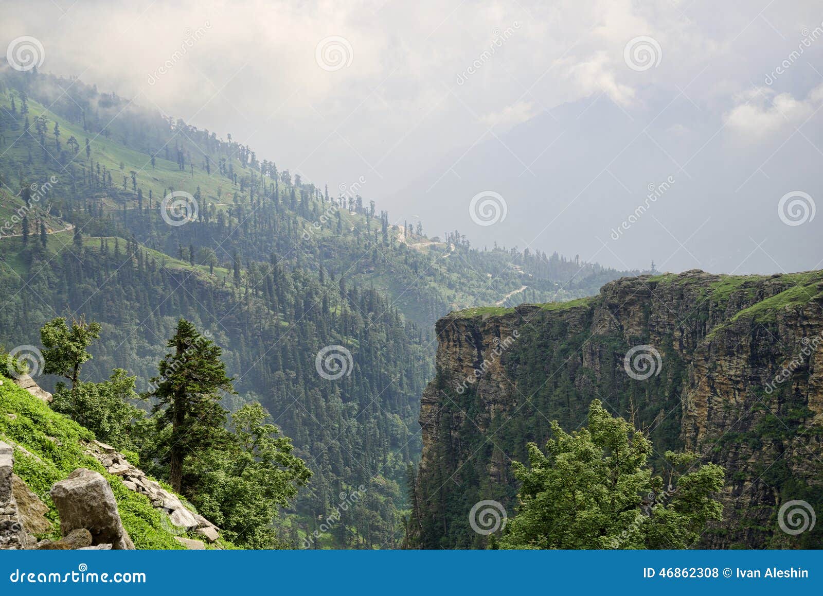 Green Forest and Rocky Ravine in Mountains Stock Photo - Image of light ...