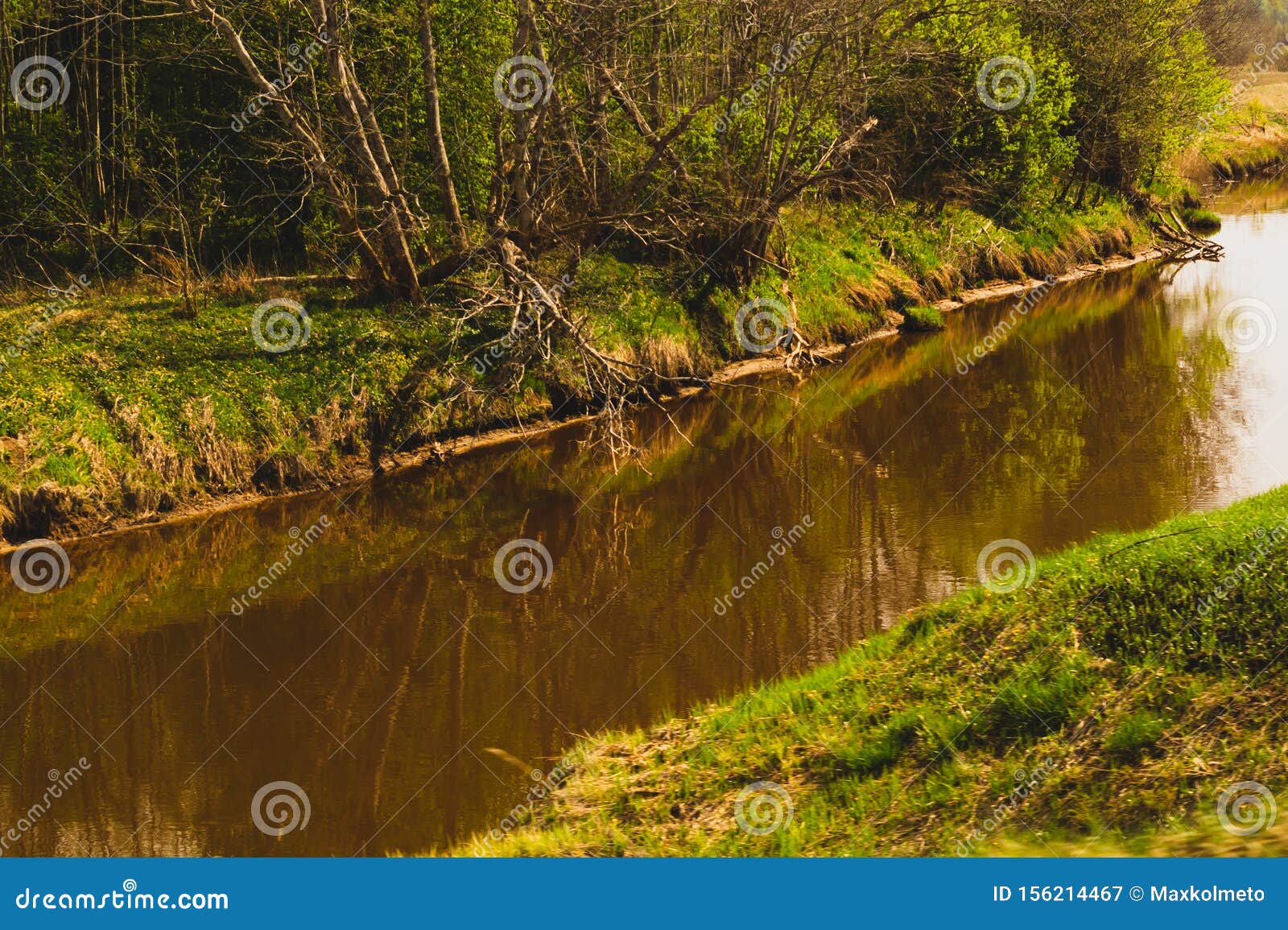 Green Forest with Small River Landscape Stock Image - Image of aerial ...