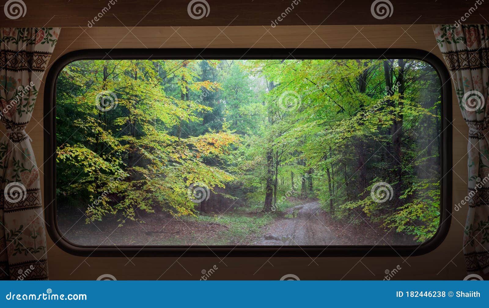 Green Forest in Spring, View from Camper Window Stock Photo - Image of ...