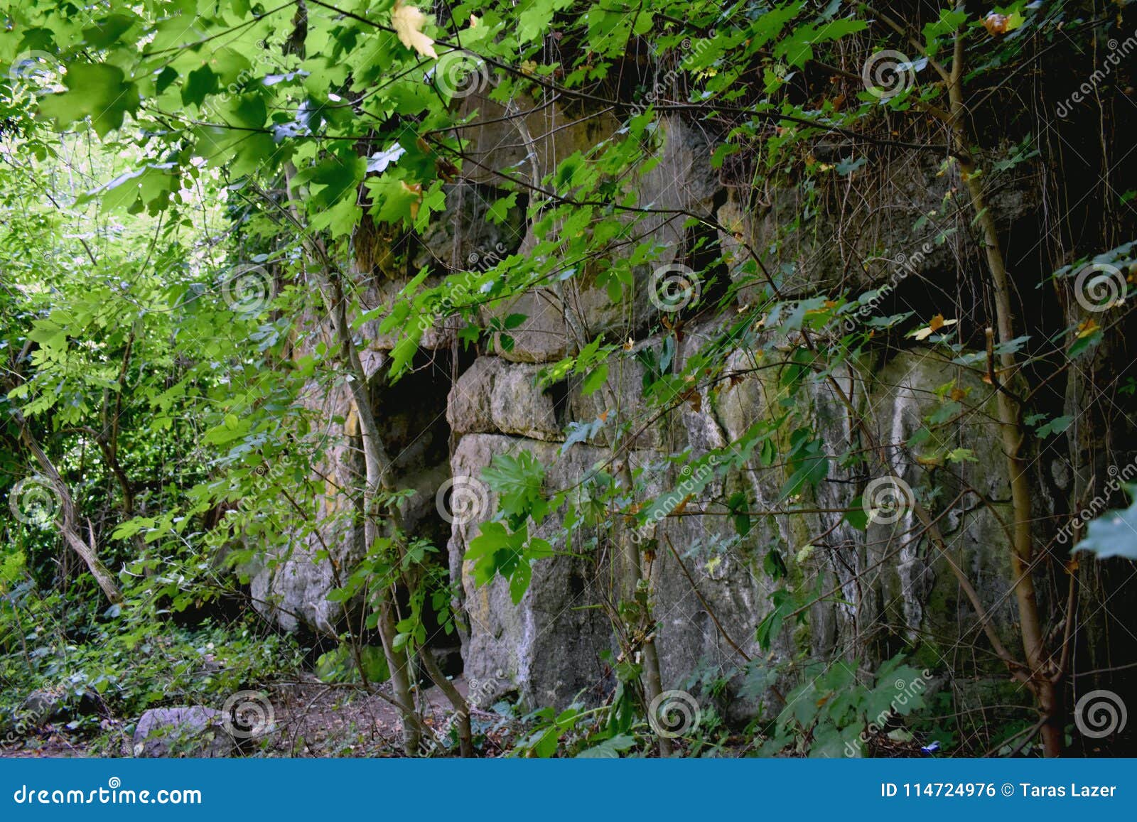Green Forest Stones and Cave Entry Stock Photo - Image of colored ...