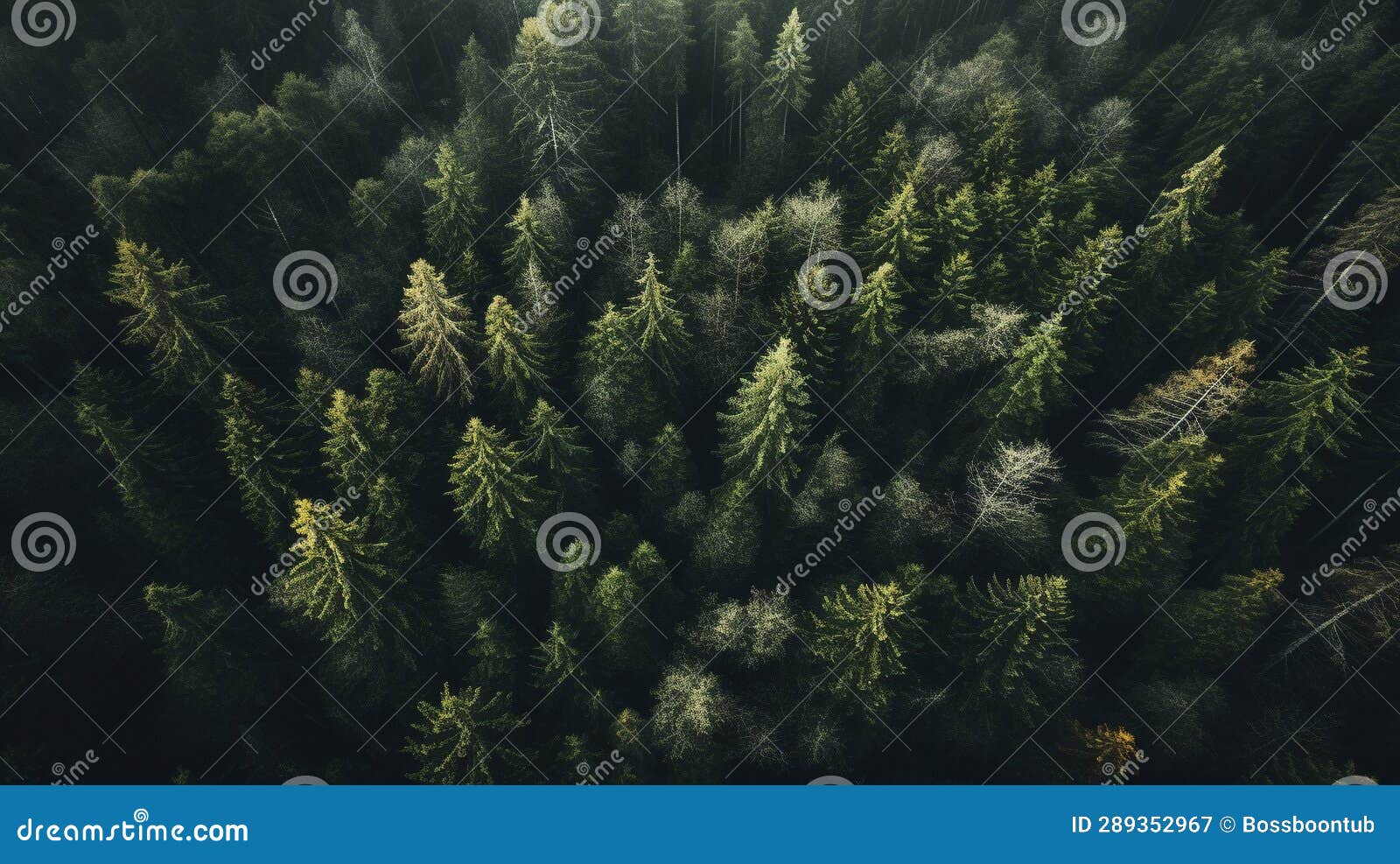 Green forest. Top view stock illustration. Illustration of texture ...