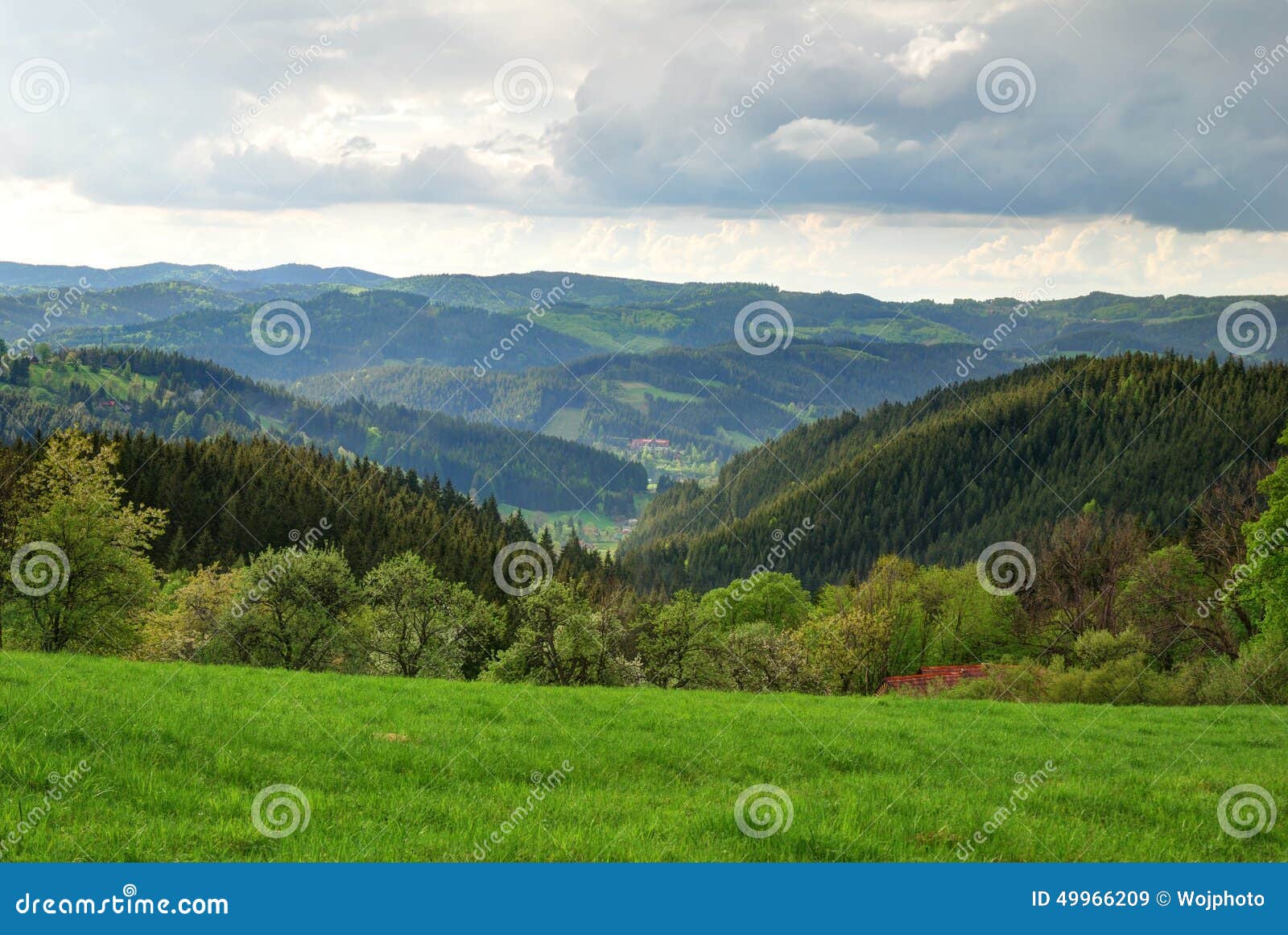 Green Forest and Valley Landscape Stock Image - Image of dale, field ...