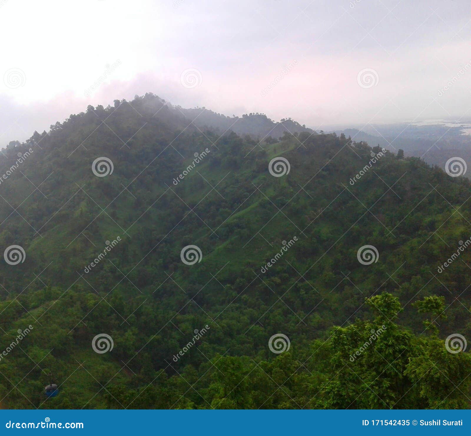 Natural Green Forest View on Mountain India Stock Image - Image of hill ...