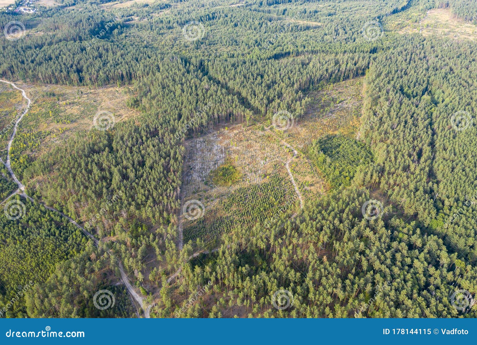 Green Forest, View from Above Stock Image - Image of pine, foliage ...