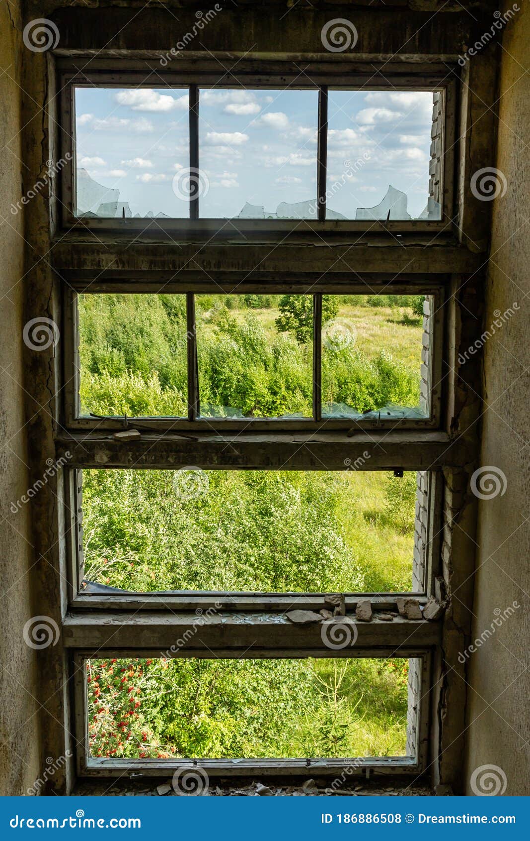 Green Forest View Outside Window Stock Photo - Image of europe, empty ...