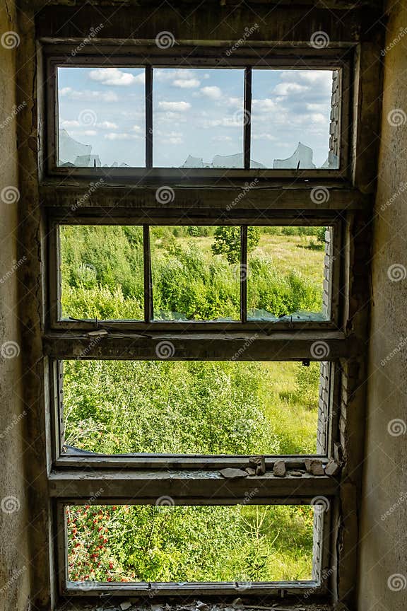 Green Forest View Outside Window Stock Photo - Image of europe, empty ...