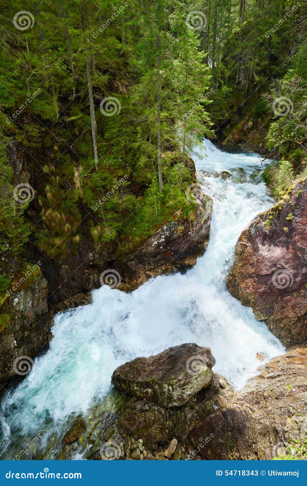 Green Forest Waterfall Stream Water Tatra Mountains Carpathians Stock ...
