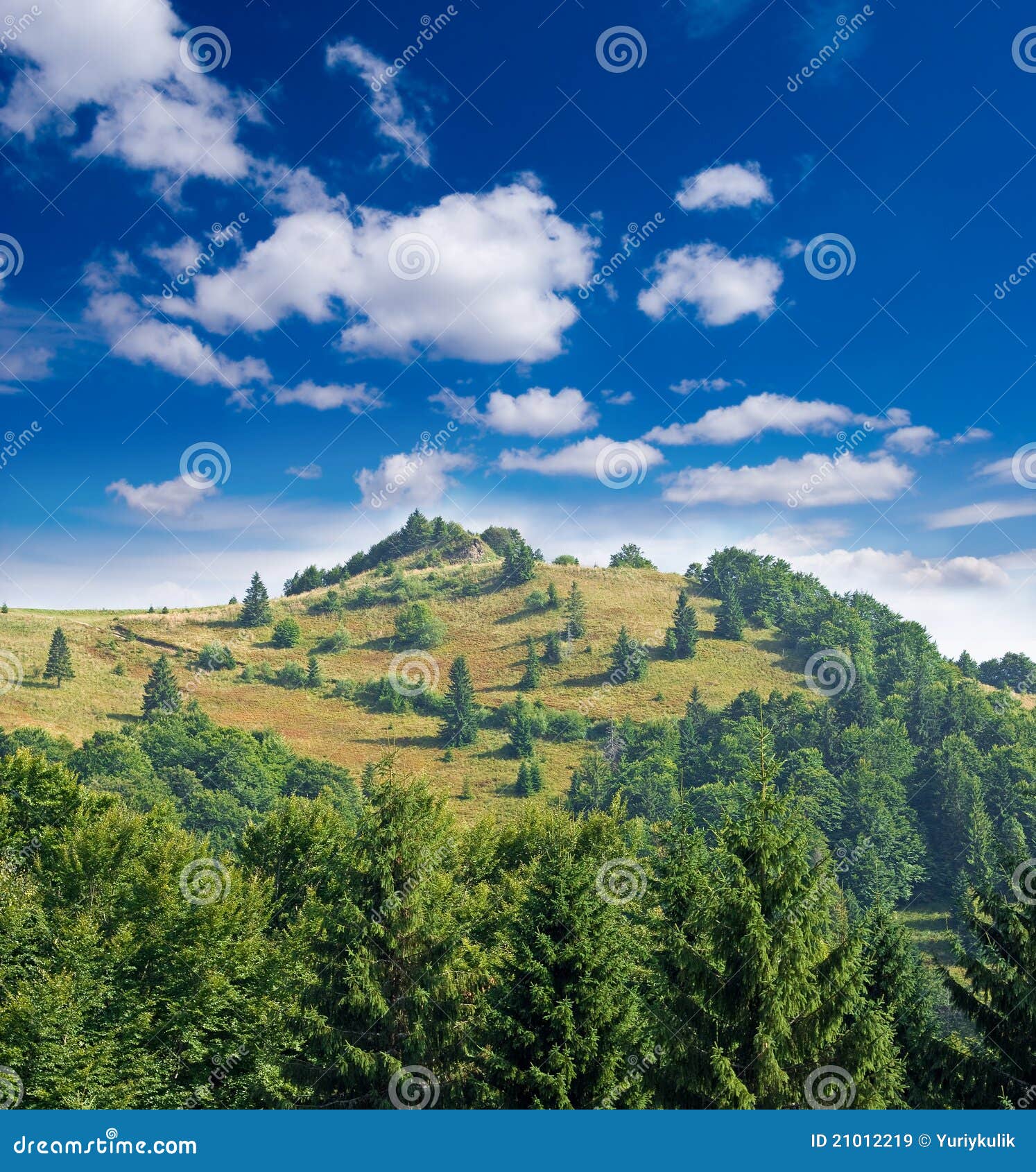Green foresty mountain stock image. Image of forest, mountains - 21012219