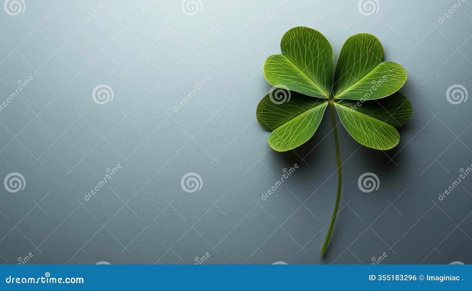 Green Four Leaf Clover on Grey Background Stock Illustration ...