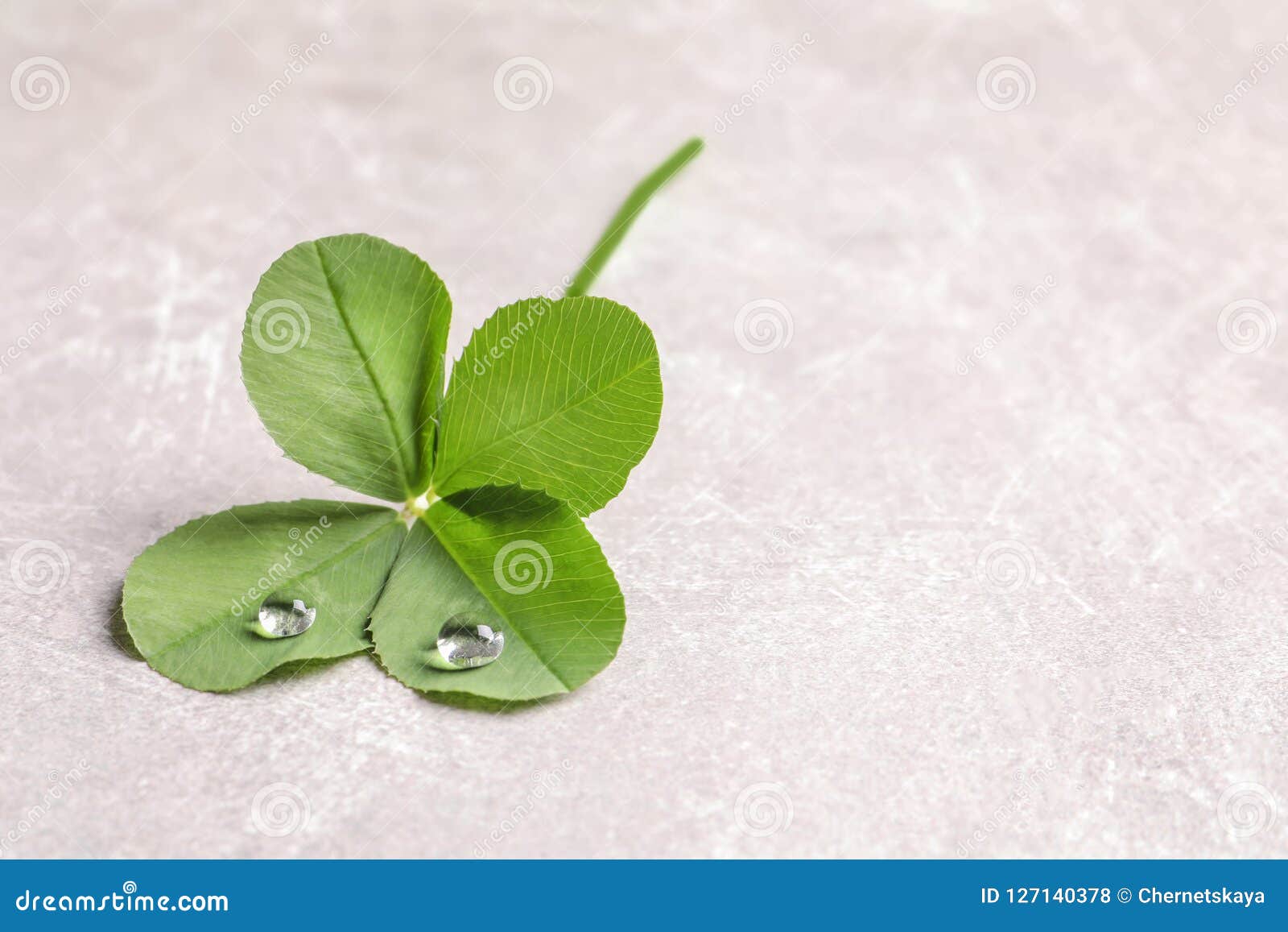 Green Four-leaf Clover on Light Background Stock Photo - Image of green ...