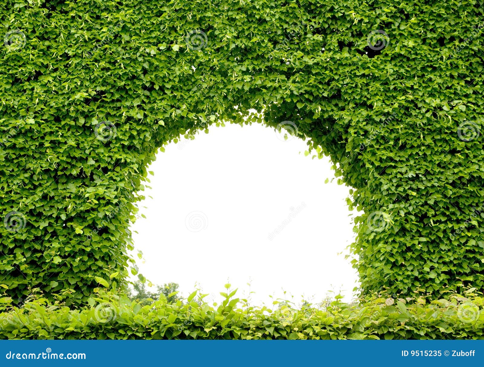 Green frame stock image. Image of card, freshness, natural - 9515235