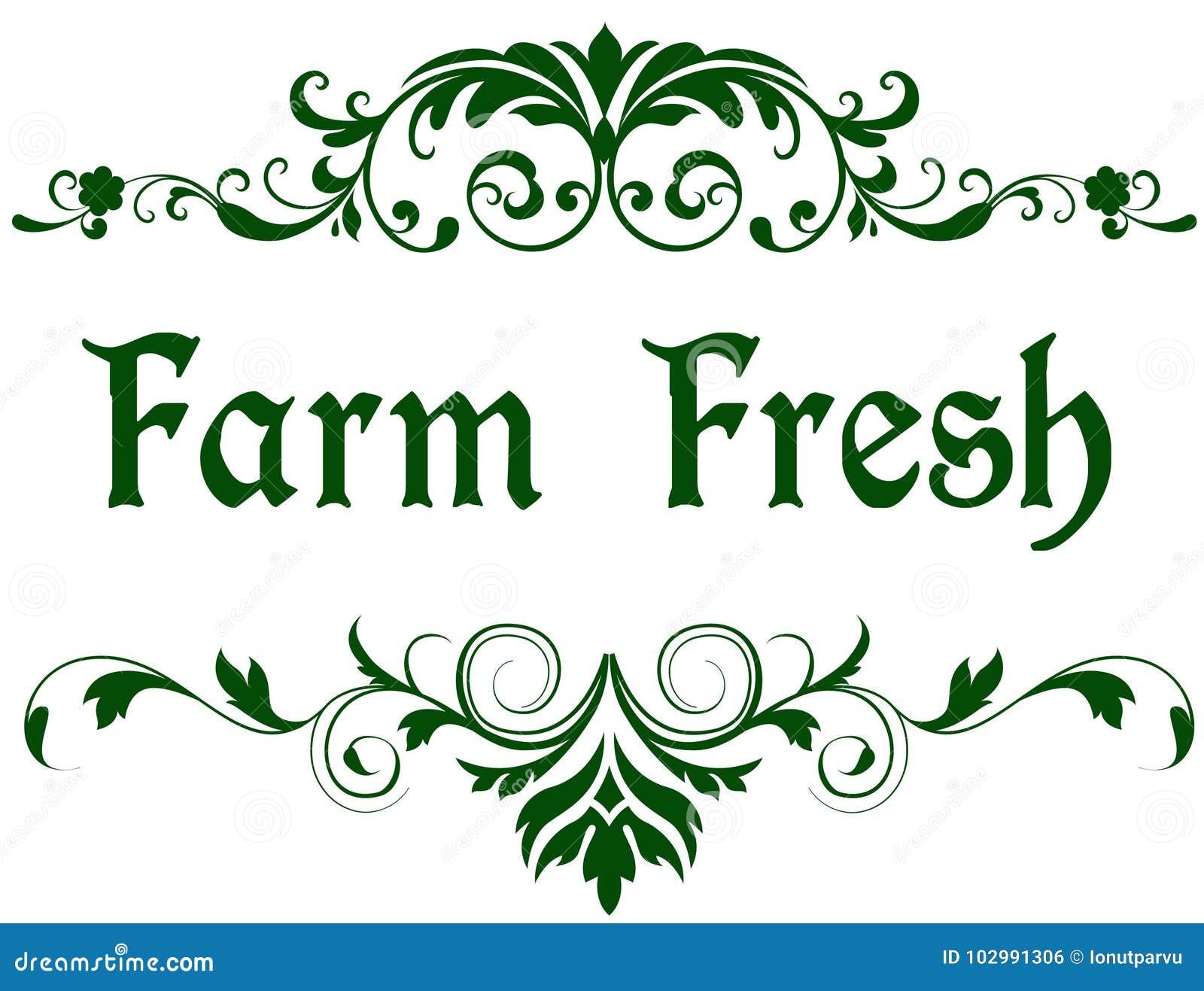 Green Frame with FARM FRESH Text. Stock Illustration - Illustration of ...