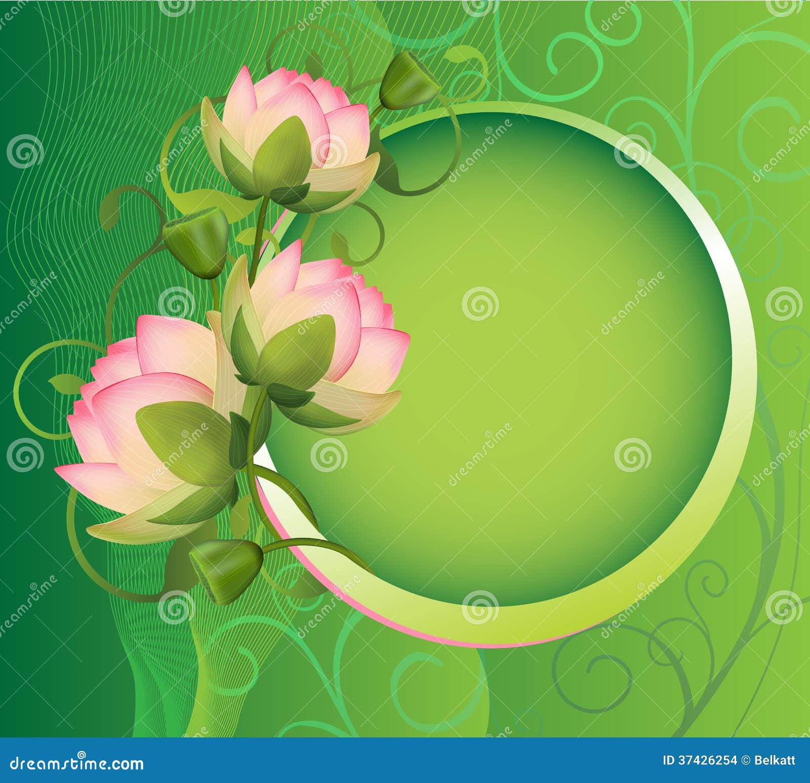 Green Frame with Lotus Flower Stock Vector - Illustration of ...
