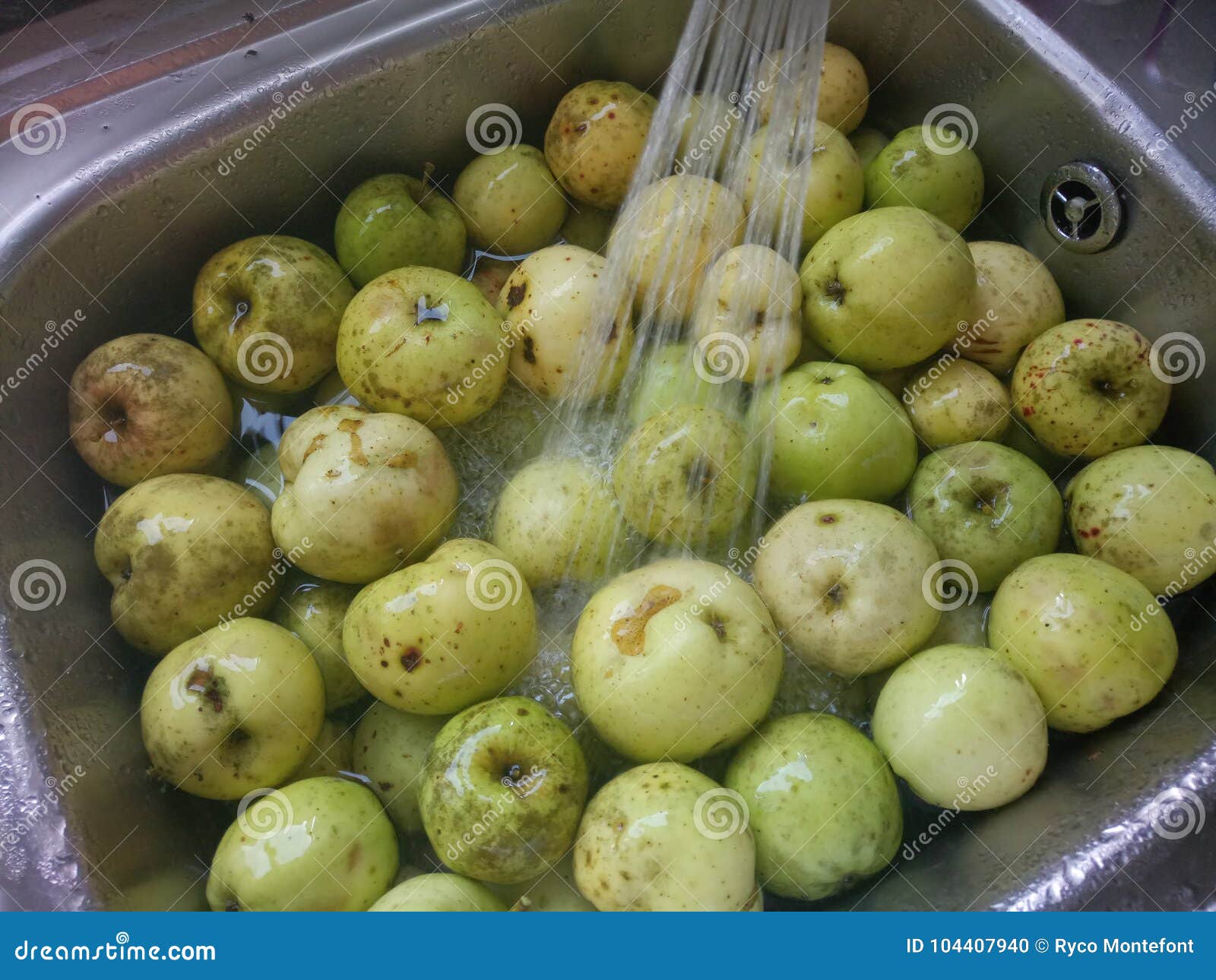Green fresh apples stock photo. Image of green, washing - 104407940