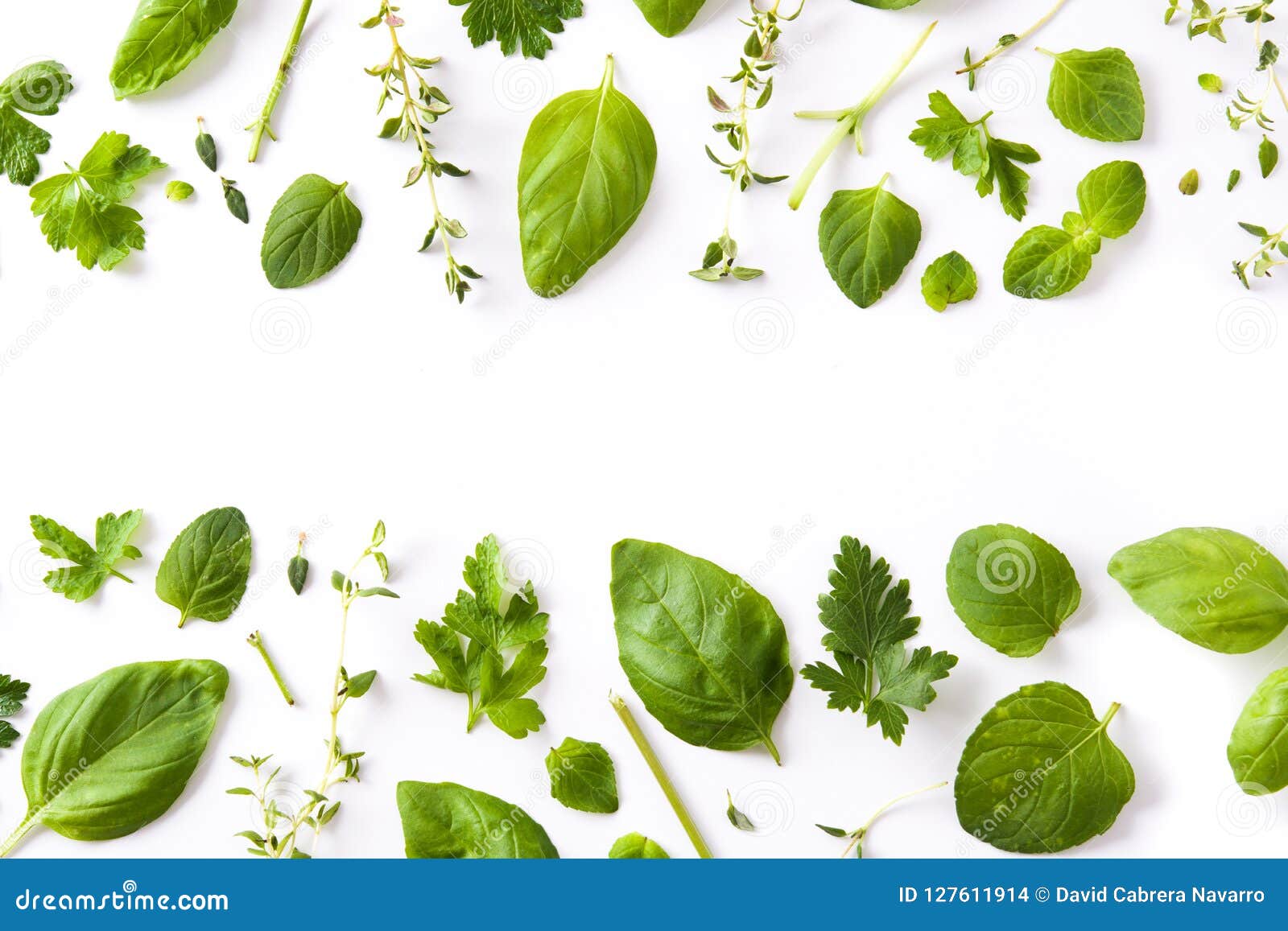 Green Fresh Aromatic Herbs Pattern Isolated on White Background. Top ...