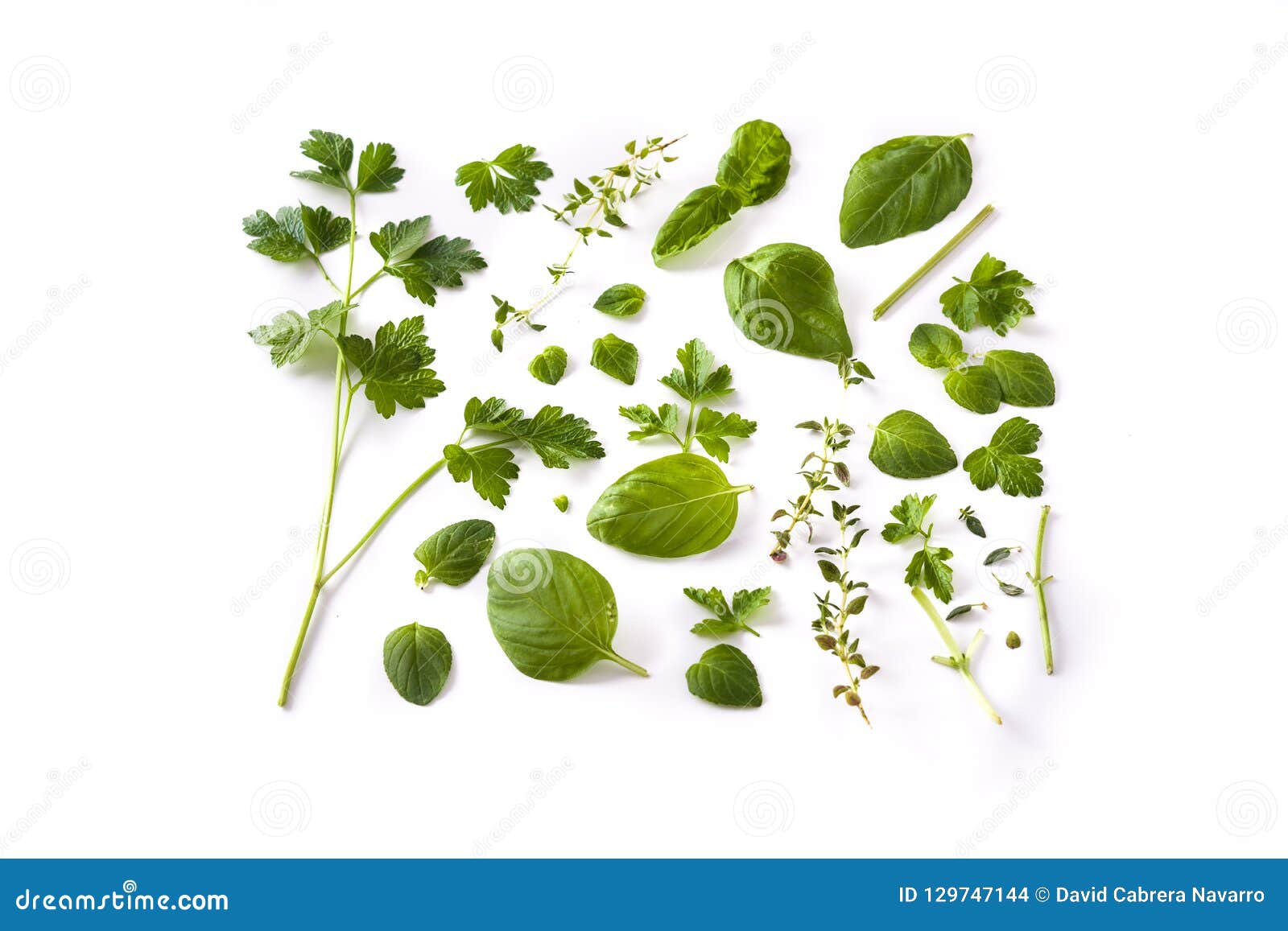 Green Fresh Aromatic Herbs Pattern Isolated on White Background. Top ...