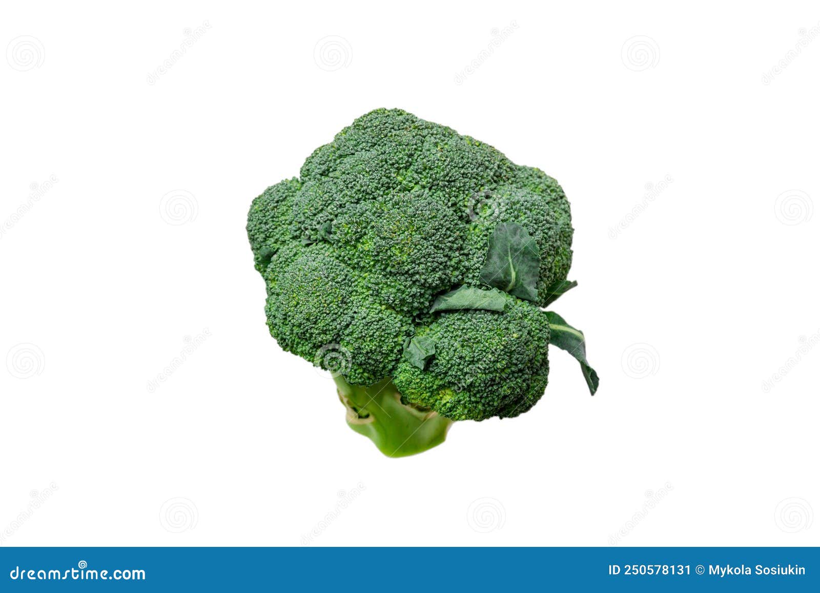 Green Fresh Broccoli Isolated on White Background Top View Stock Image ...