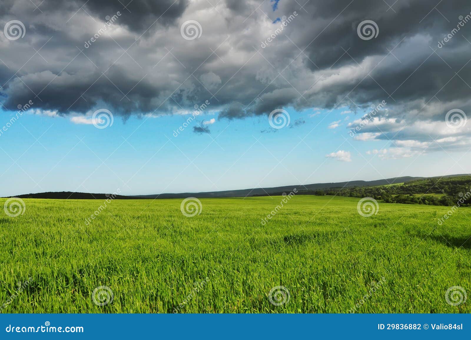 Green Fresh Field and Blue Dramatic Sky Stock Photo - Image of field ...