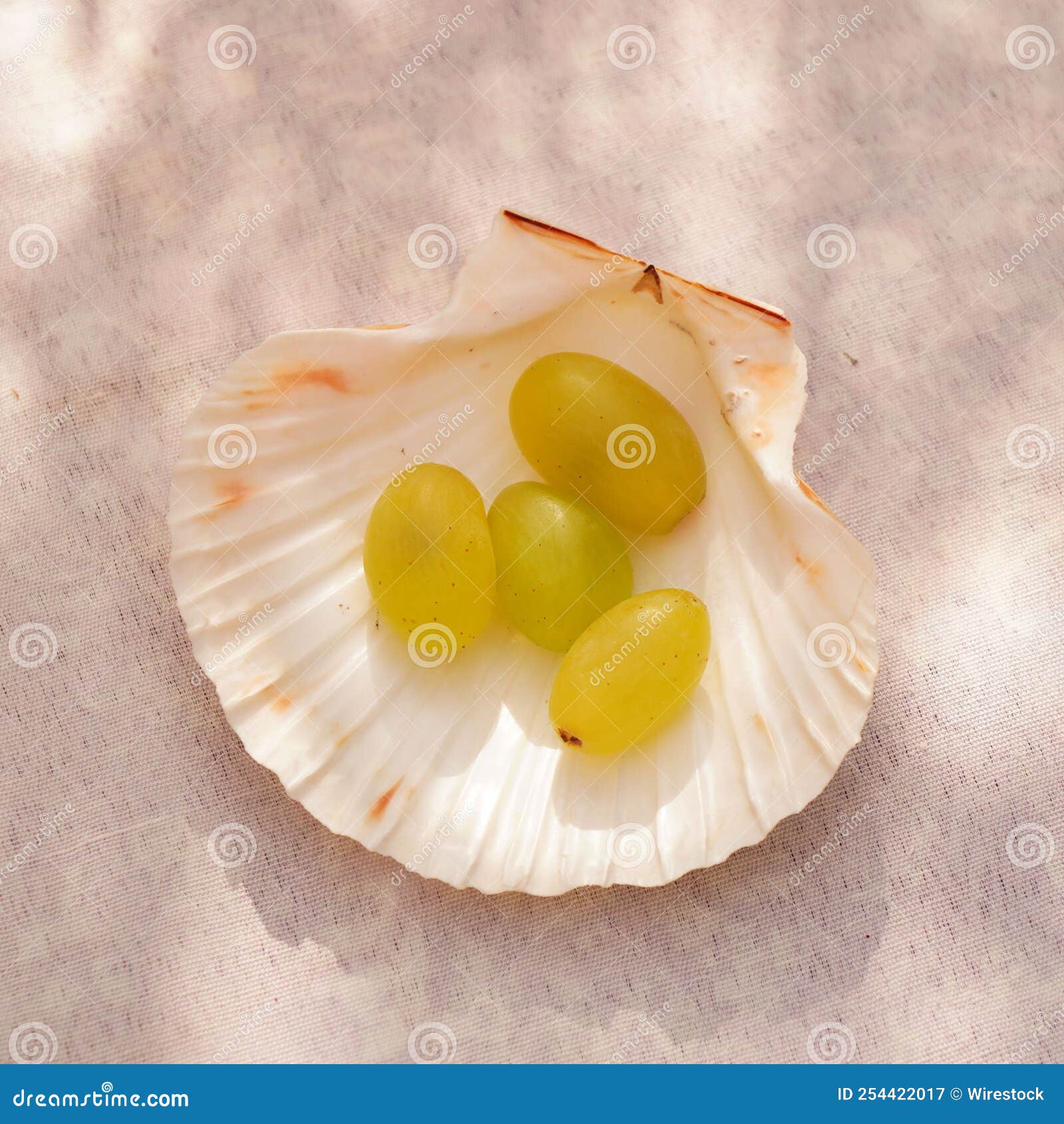 Green grapes in a shell stock image. Image of tasty - 254422017