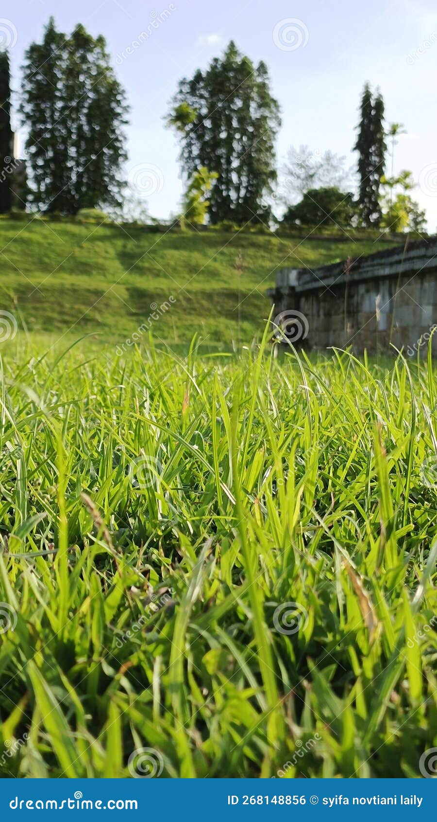 Grass And Temple Royalty-Free Stock Photo | CartoonDealer.com #9098097