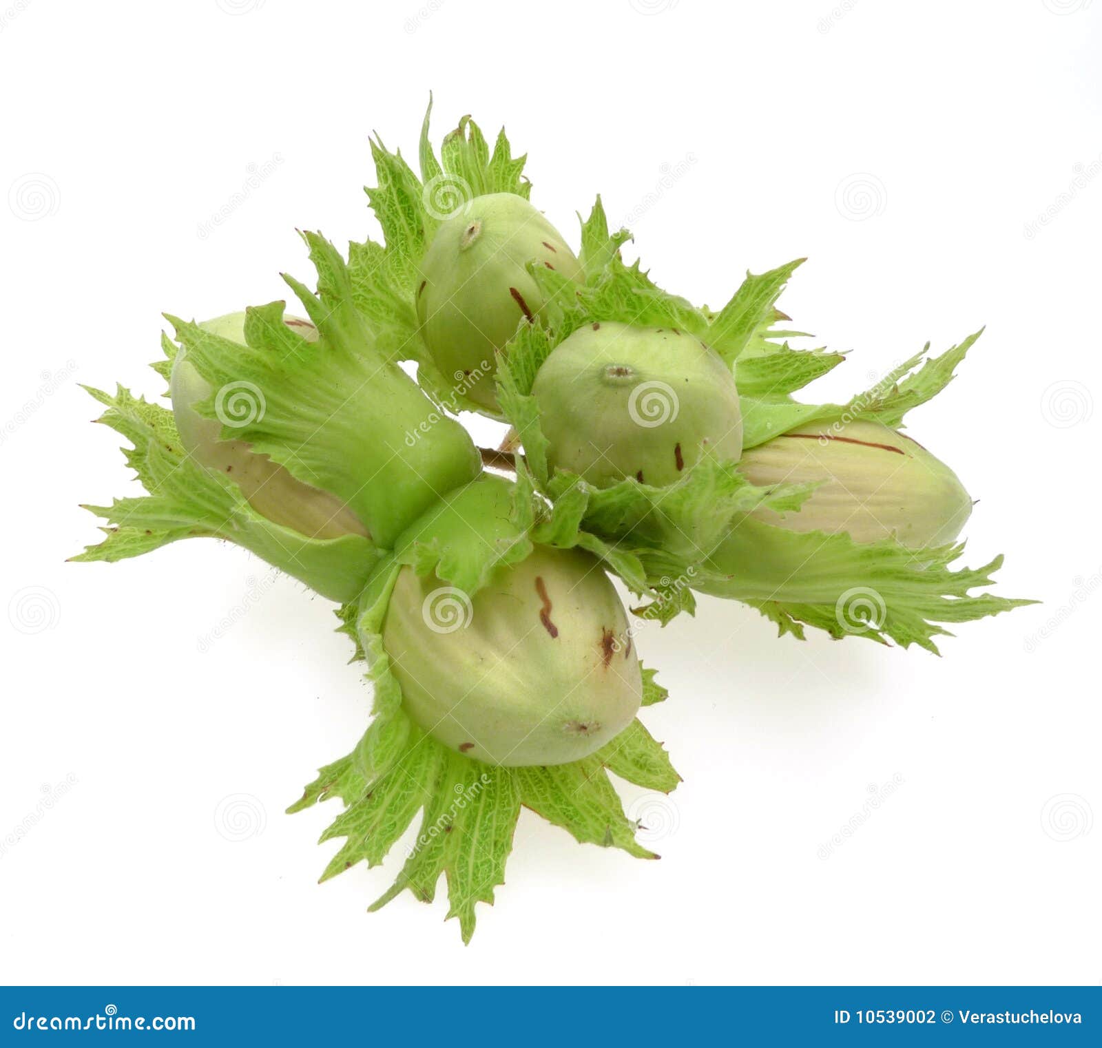 Green Fresh Hazelnuts Isolated Stock Photo - Image of appetizer ...