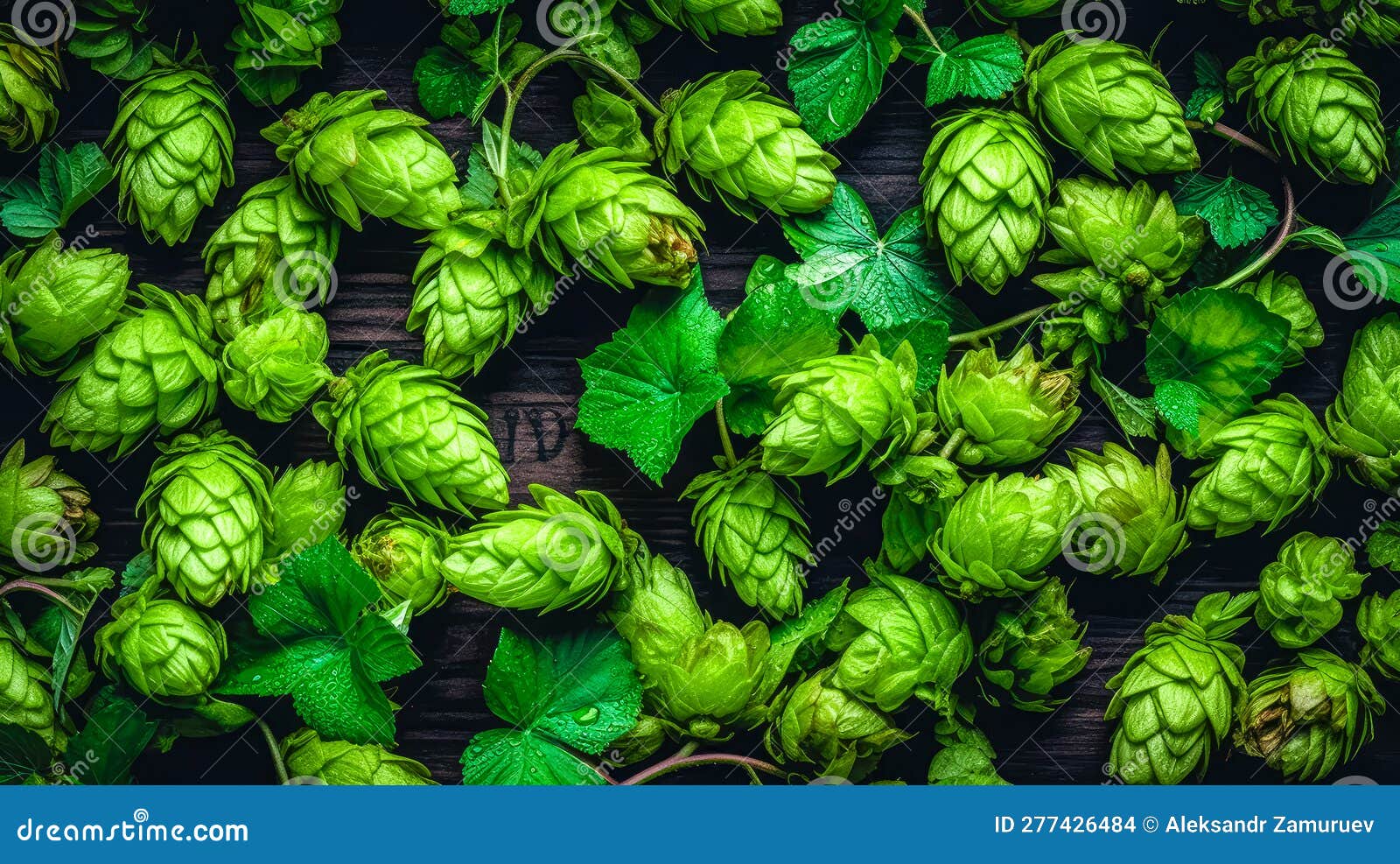 Green Fresh Hop Cones for Making Beer and Bread Close Up. Ai Generated ...