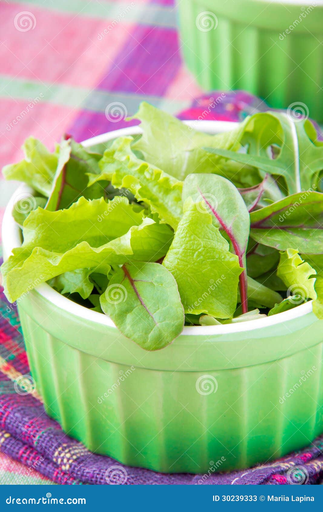 Green Fresh Lettuce and Rucola in the Cup Stock Image - Image of ...