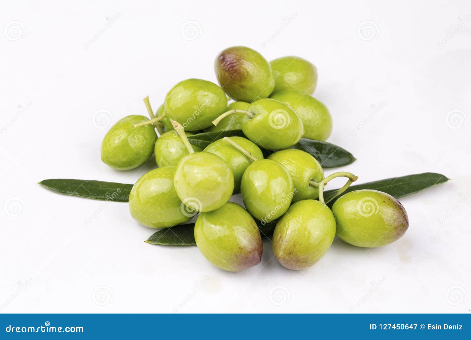Green fresh olive stock image. Image of vegetable, fruit - 127450647