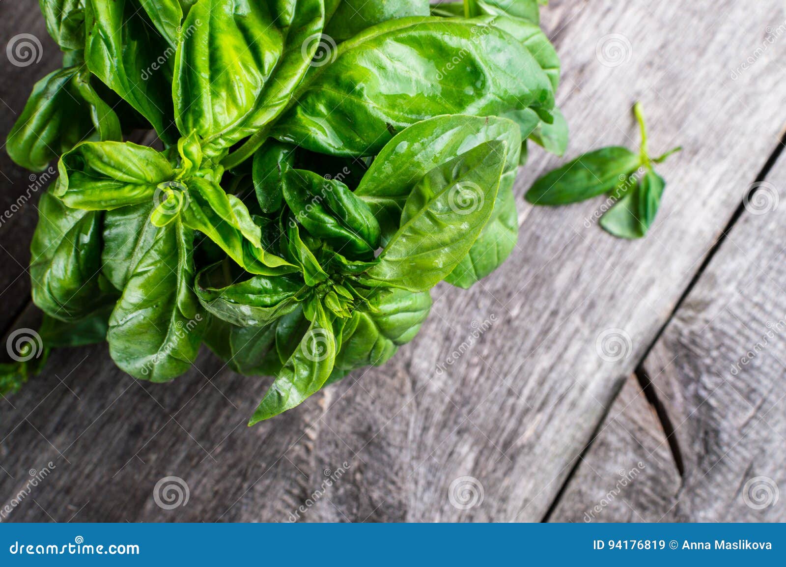 Green Fresh Organic Basilic on the Wooden Table. Rustic Style Stock ...