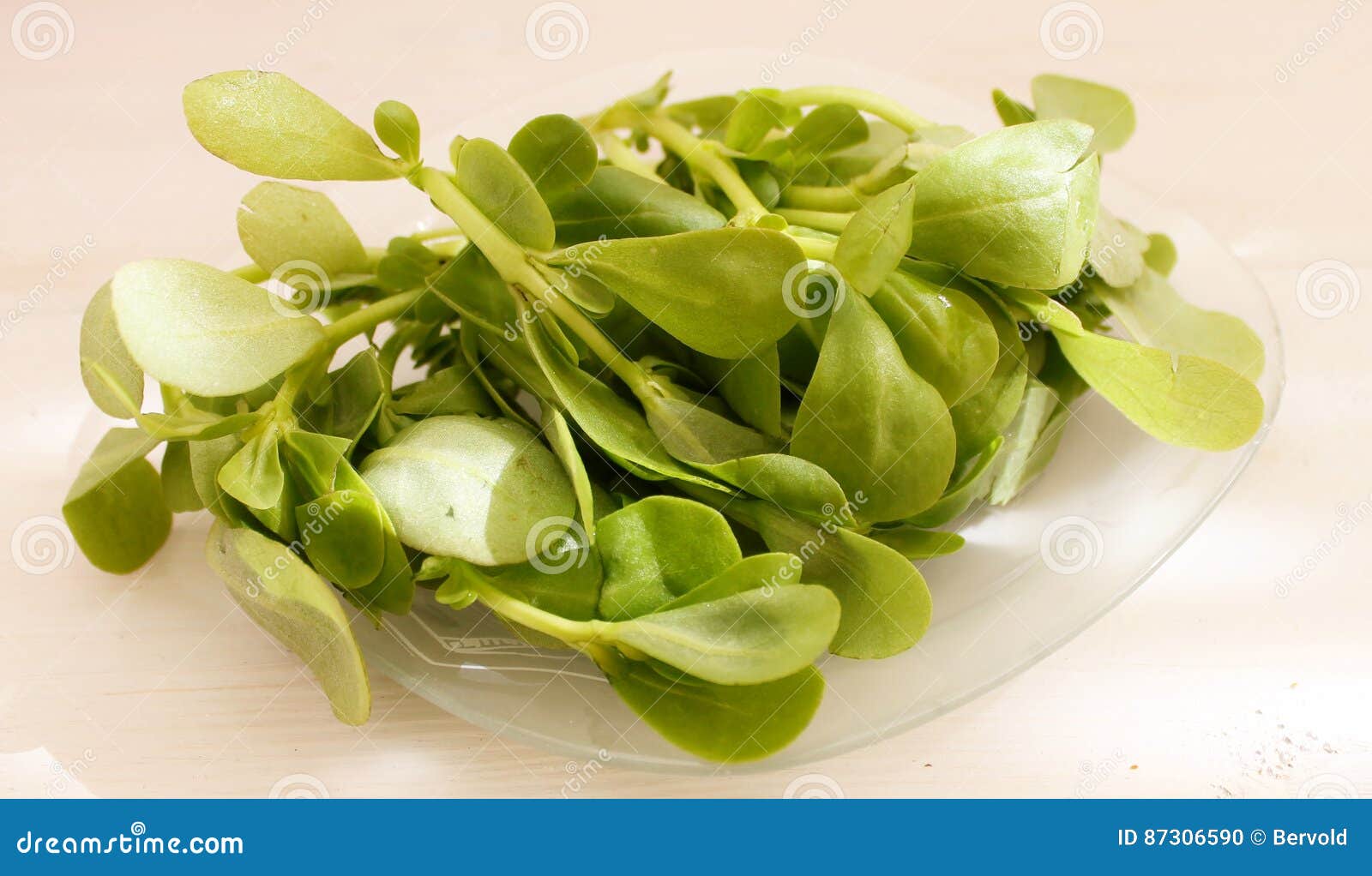 Green Fresh Purslane on a Plate Stock Photo - Image of seasonal, summer ...