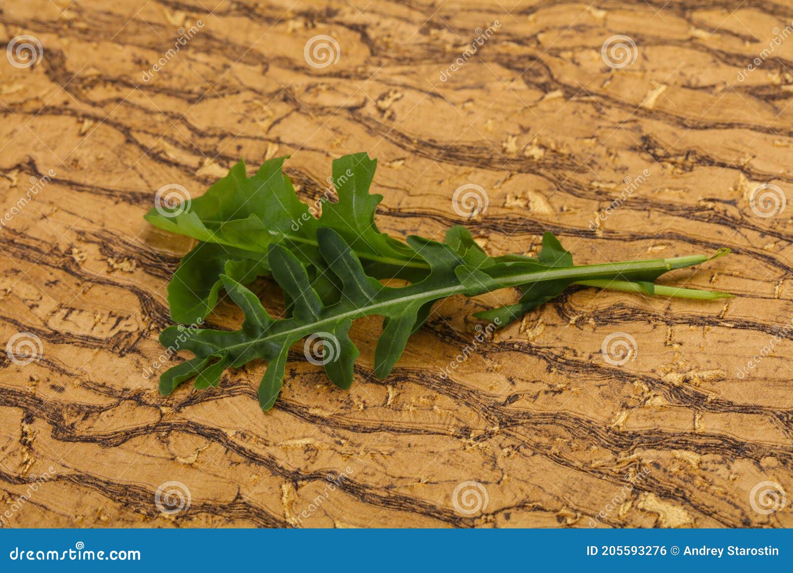 Green fresh Rocket leaves stock photo. Image of ingredient - 205593276